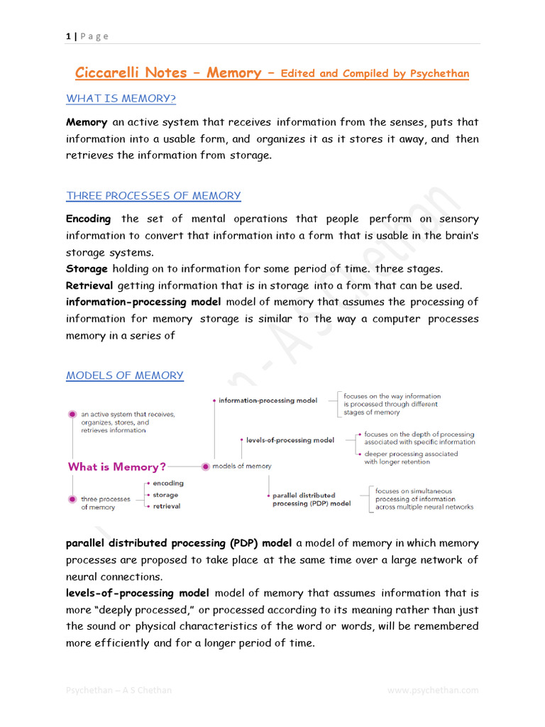 Ciccarelli Memory Notes Overview | PDF | Memory | Long Term Memory
