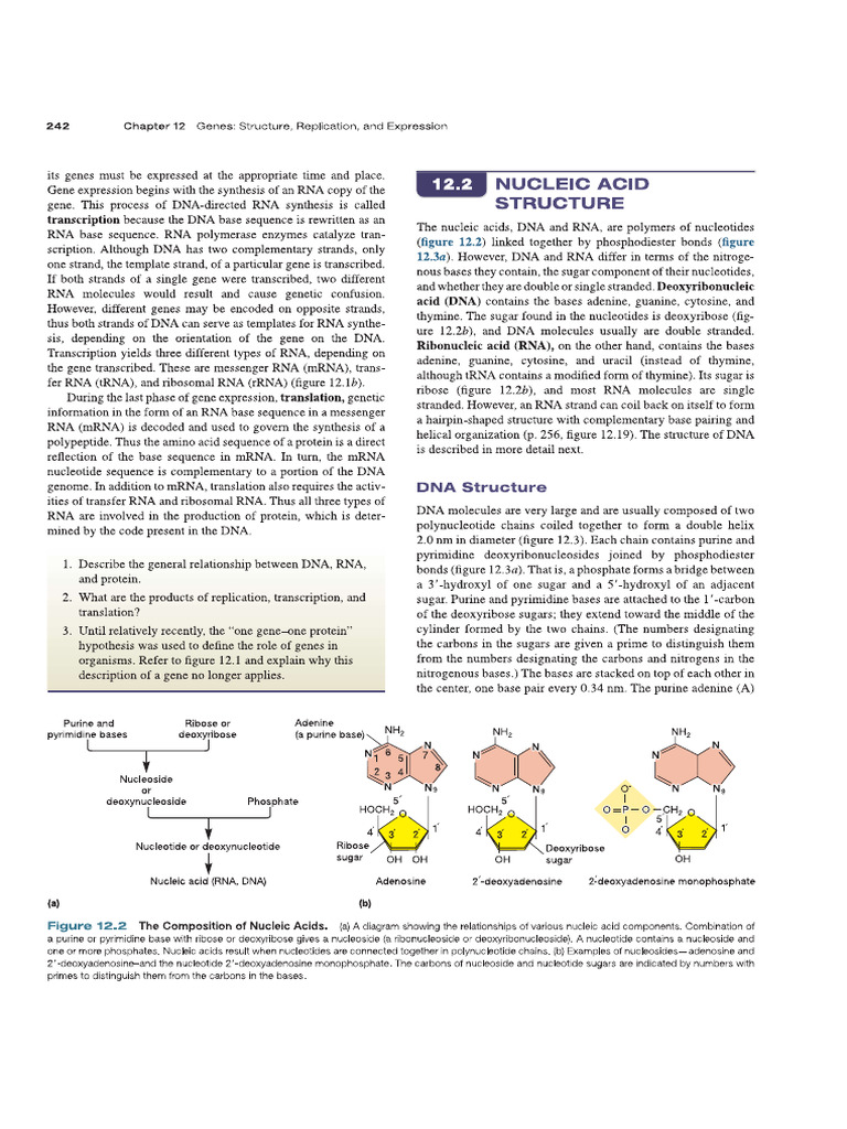 dna replication notes ( detailed) | PDF