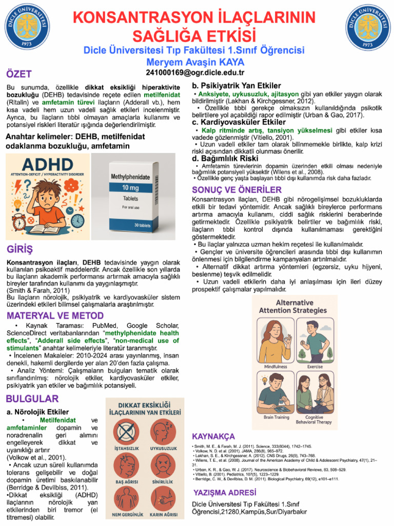 Poster_formati_mayis_2025_odev (1) | PDF