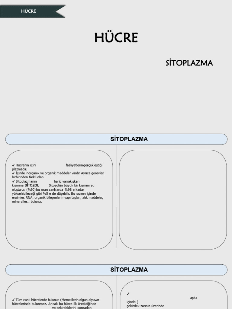 10 - Sitoplazma | PDF