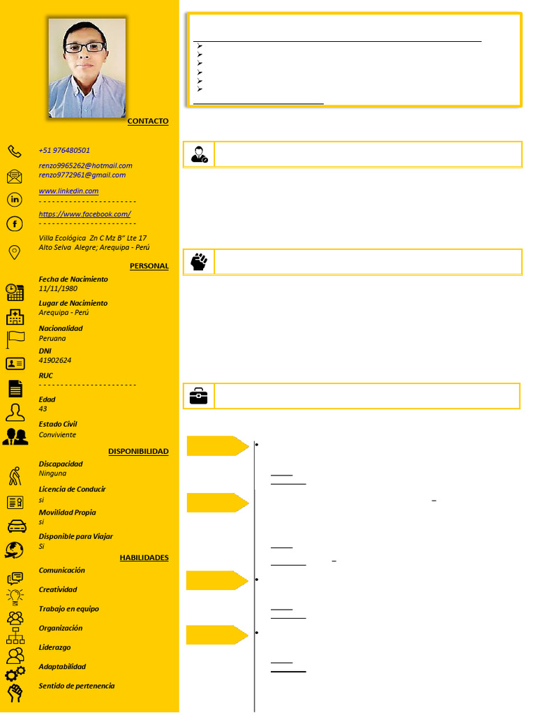 CV - Renzo Arturo Valdivia 2024 | PDF | Ingenieria Eléctrica | Controlador lógico programable