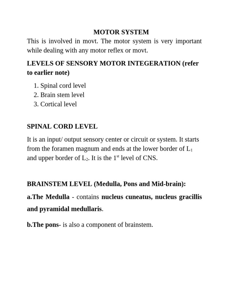 Neurophysiology New Stdnts Note 4 | PDF | Cerebral Cortex | Motor Neuron