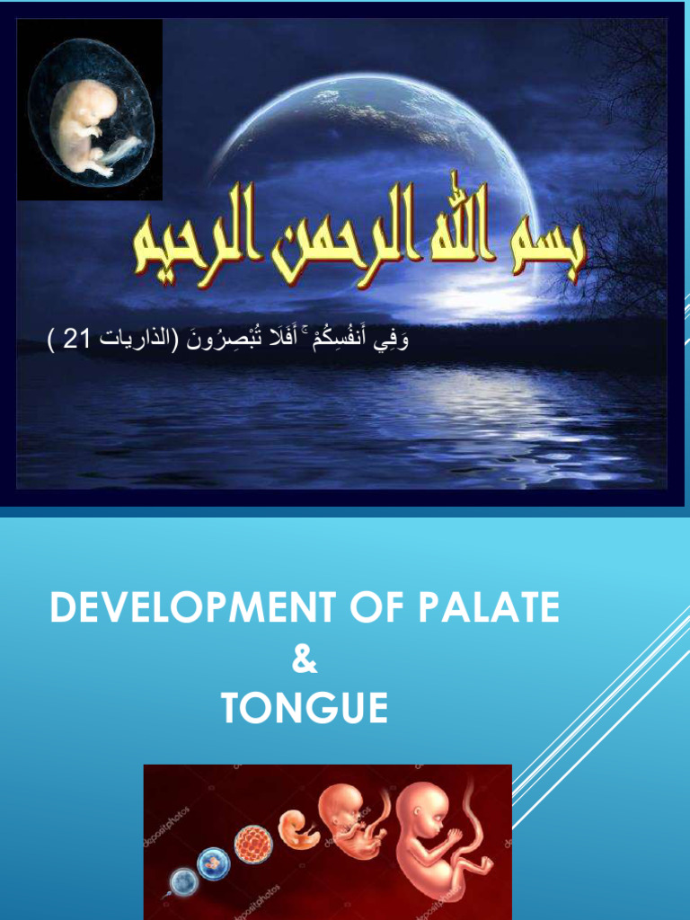 Development of Palate and Tongue-1 | PDF | Tongue | Taste