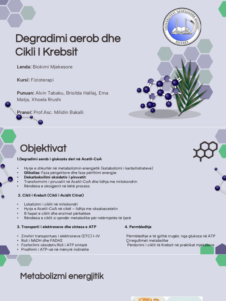 Degradimi Aerob Dhe Cikli I Krebsit | PDF