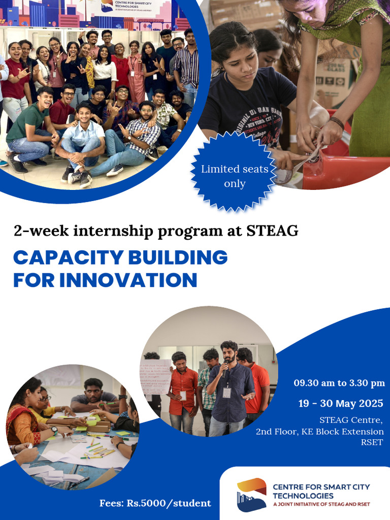 Intership Steag | PDF