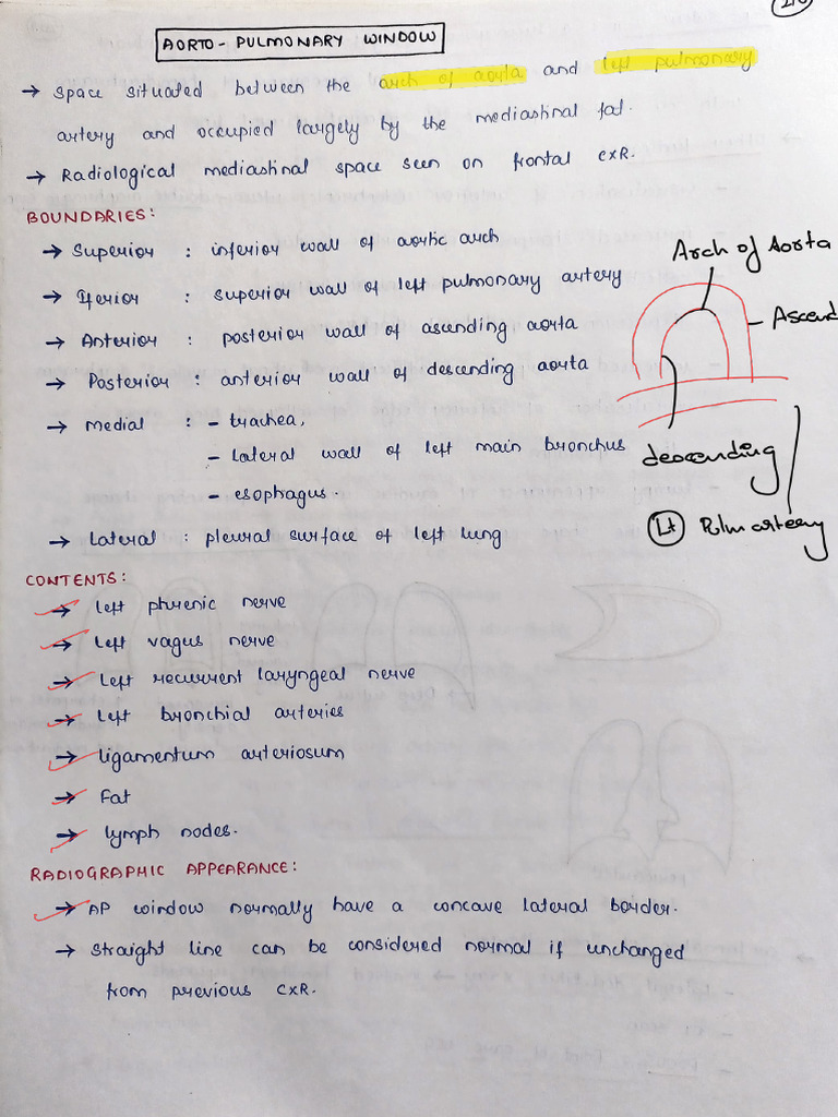 Aortopulmonary Window - 230613 - 172310 | PDF