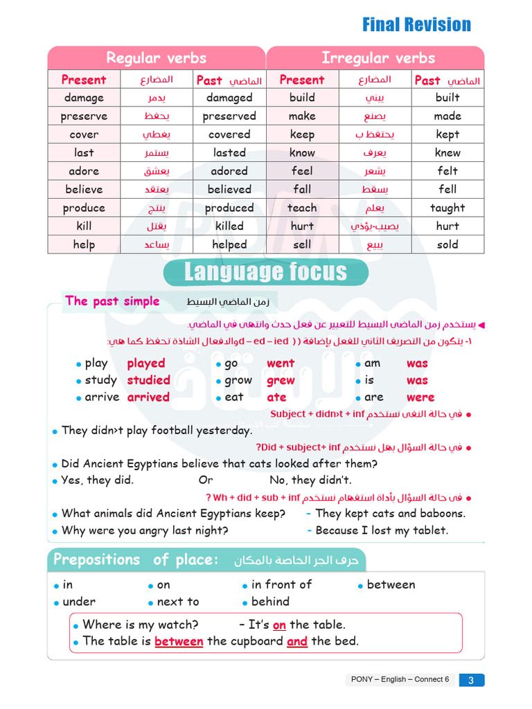 Connect Final Revision Grade 6 - 3 | PDF | Language Families | Linguistic Typology