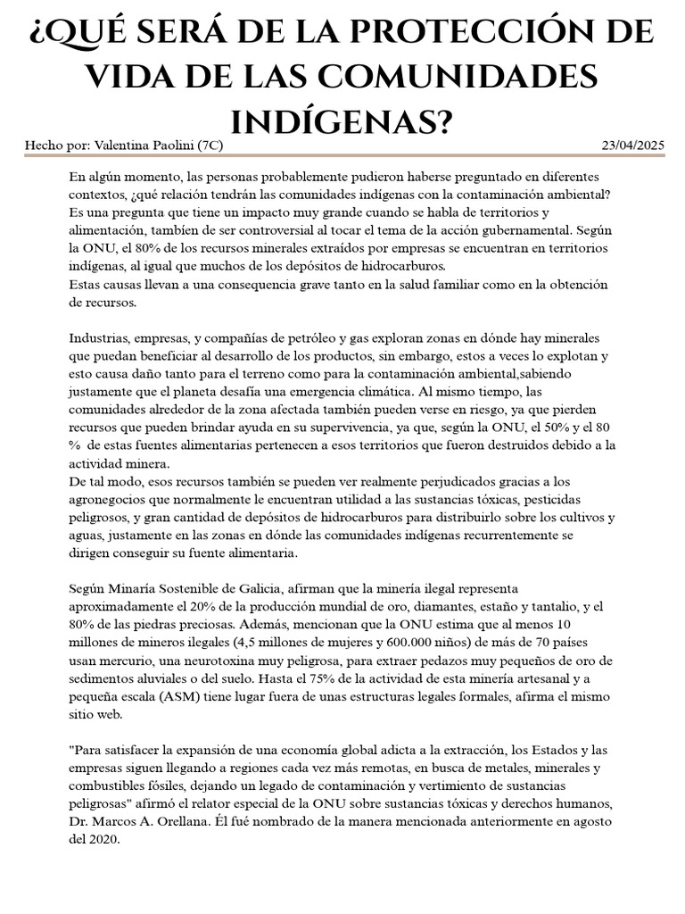 Informe - Valentina Paolini 7C | PDF | Minería | Contaminación