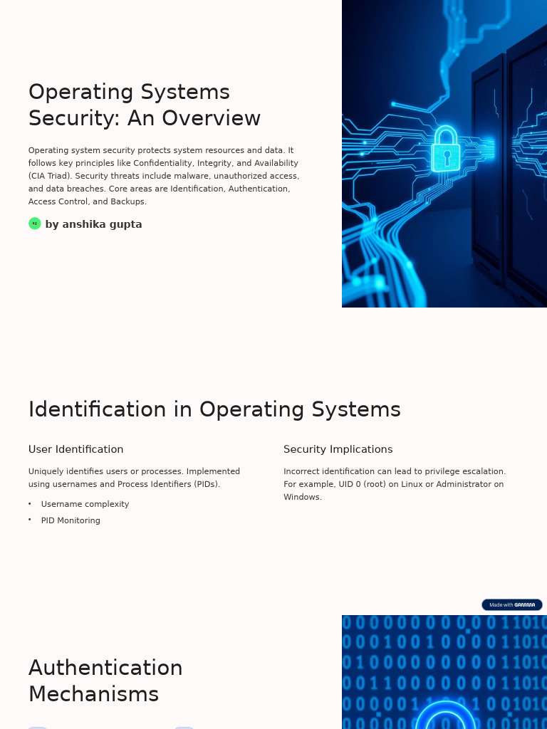 Operating Systems Security an Overview | PDF | Security | Computer Security