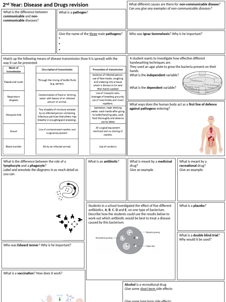 Disease and Drugs Revision Learning Mat | PDF | Bacteria | Pathogen