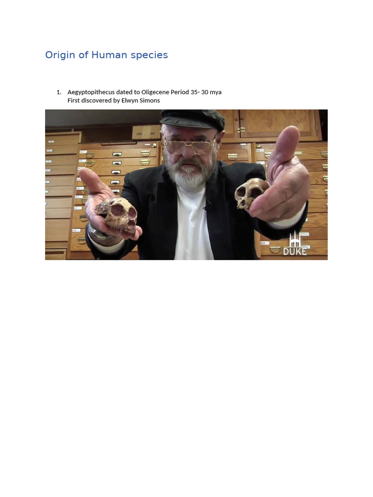 Origin of Human Species | PDF