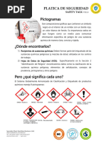 Pictogramas Quimica Final | PDF | Laboratorios | Corrosión
