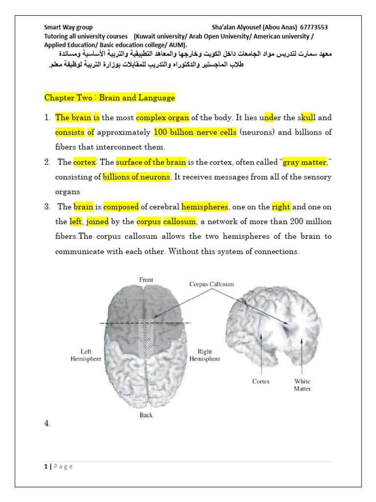 Chapter Two Brain and Language | PDF | Aphasia | Lateralization Of ...