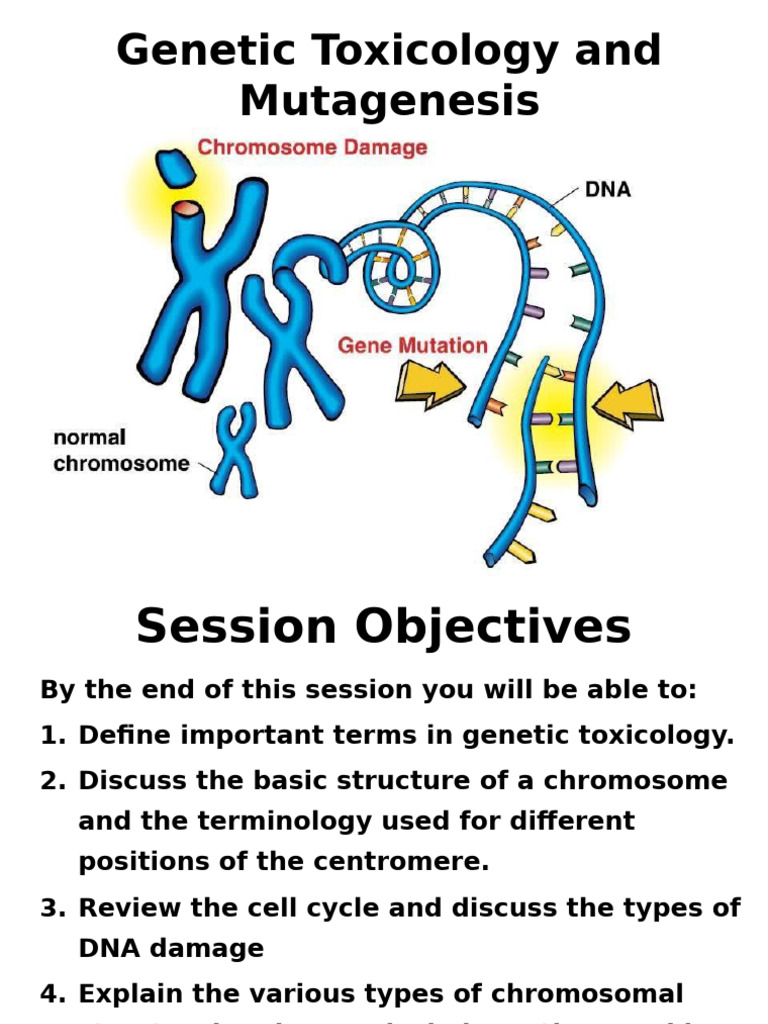5 Genetic Toxicology and Mutagenesis - Student Copy - 2020 Without ...