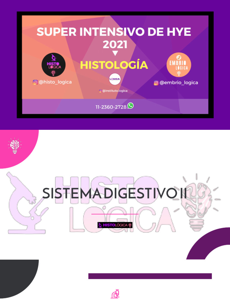 TP10 - Sistema Digestivo Ii | PDF | Hígado | Páncreas