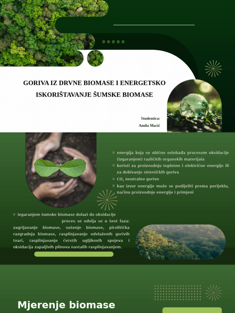 Goriva Iz Drvne Biomase I Energetsko Iskorištavanje Šumske Biomase | PDF