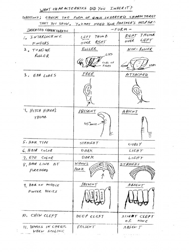 Inherited Characteristics | PDF