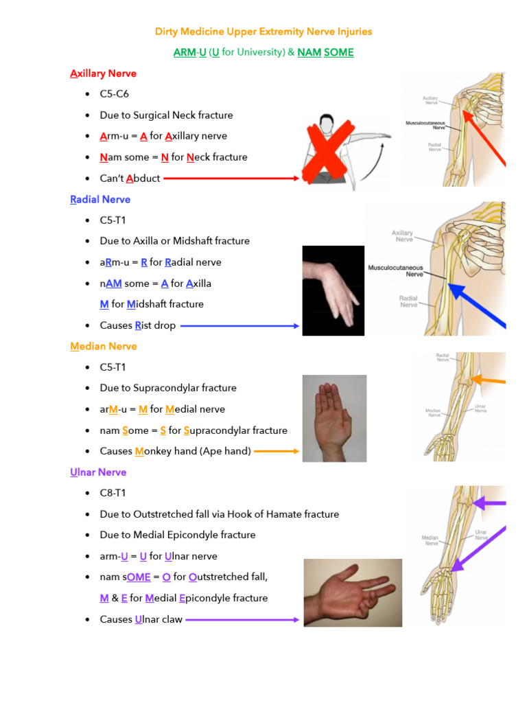 Upper Extremity Nerve Injuries | PDF