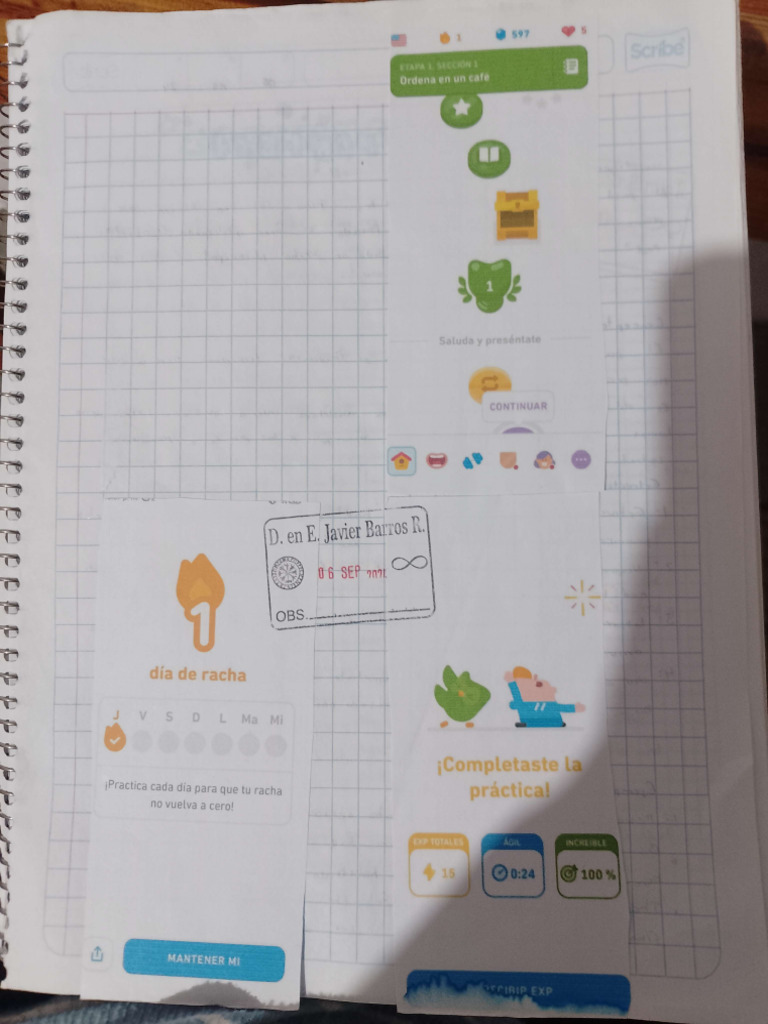 Duolingo | PDF