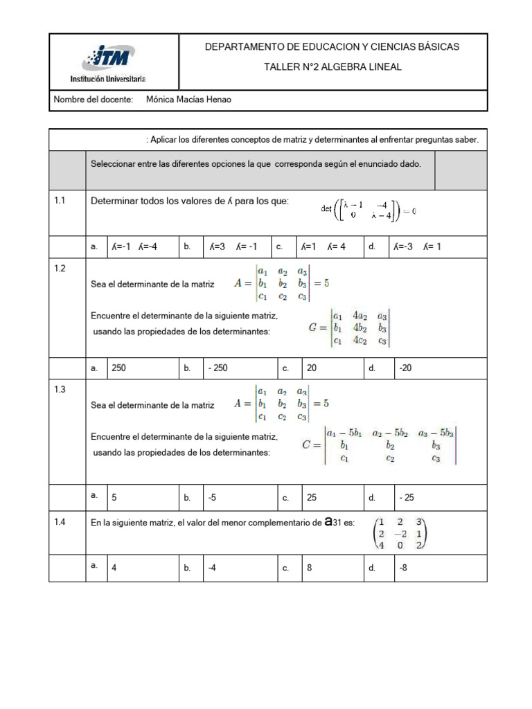 Taller N°2-Alg-Itm | PDF | Matriz (Matemáticas) | Determinante