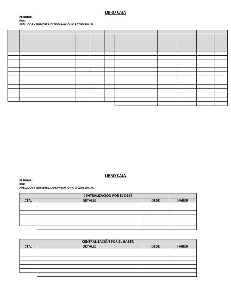 Libro Caja | PDF