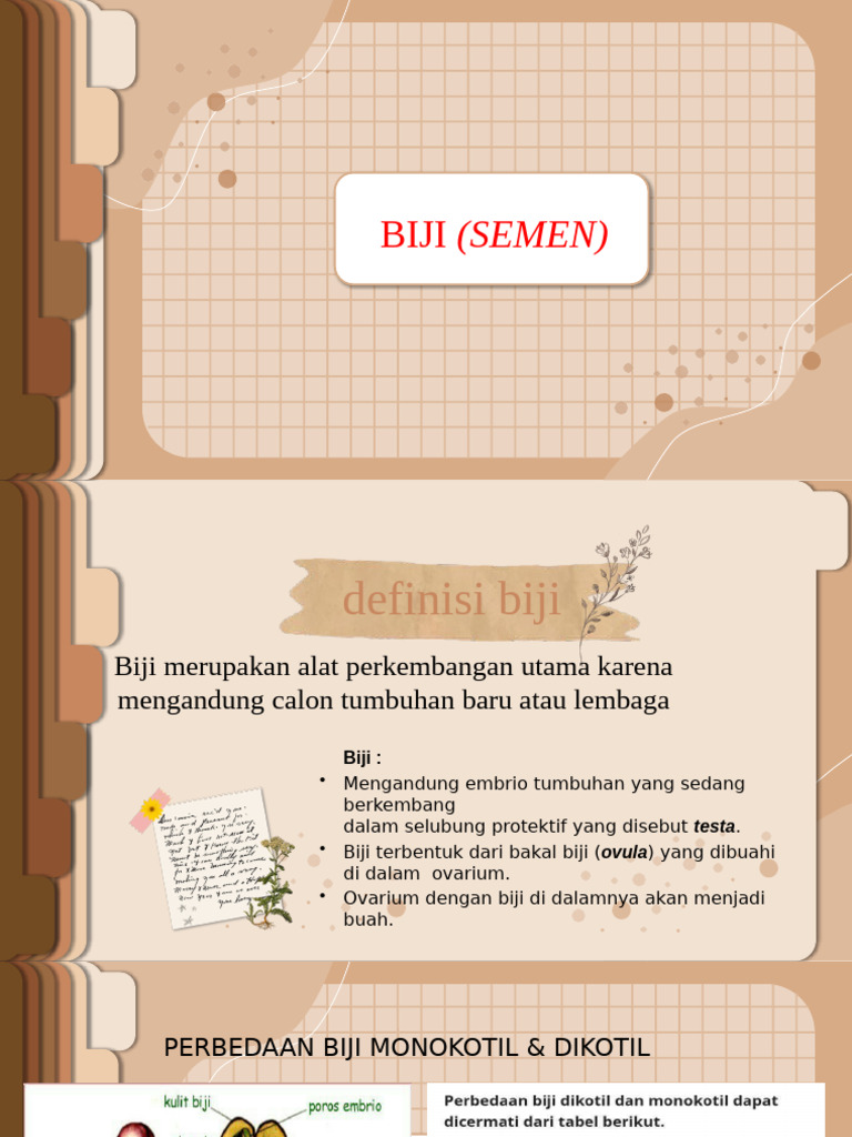 Struktur dan Fungsi Biji Tumbuhan | PDF