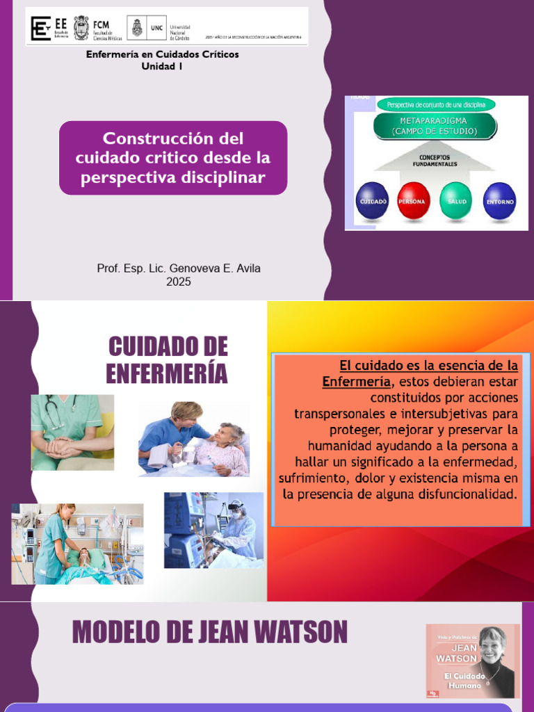 Construcción Del Cuidado Critico Desde La Perspectiva Disciplinar ...