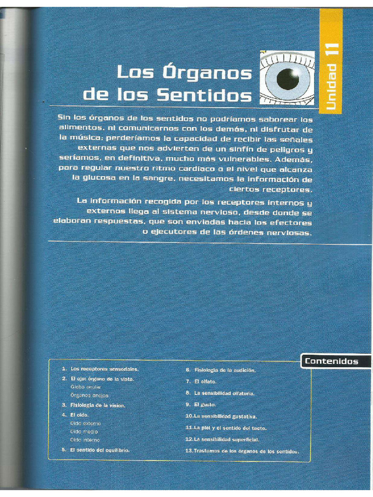 Órganos de Los Sentidos | PDF