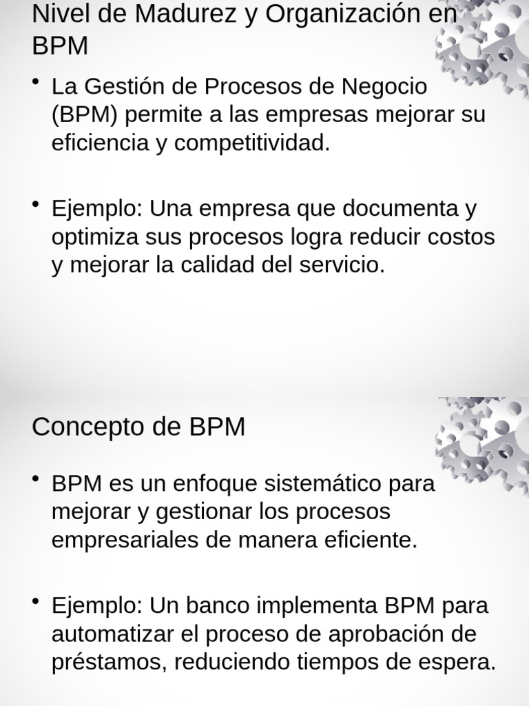Nivel Madurez BPM Explicado | PDF
