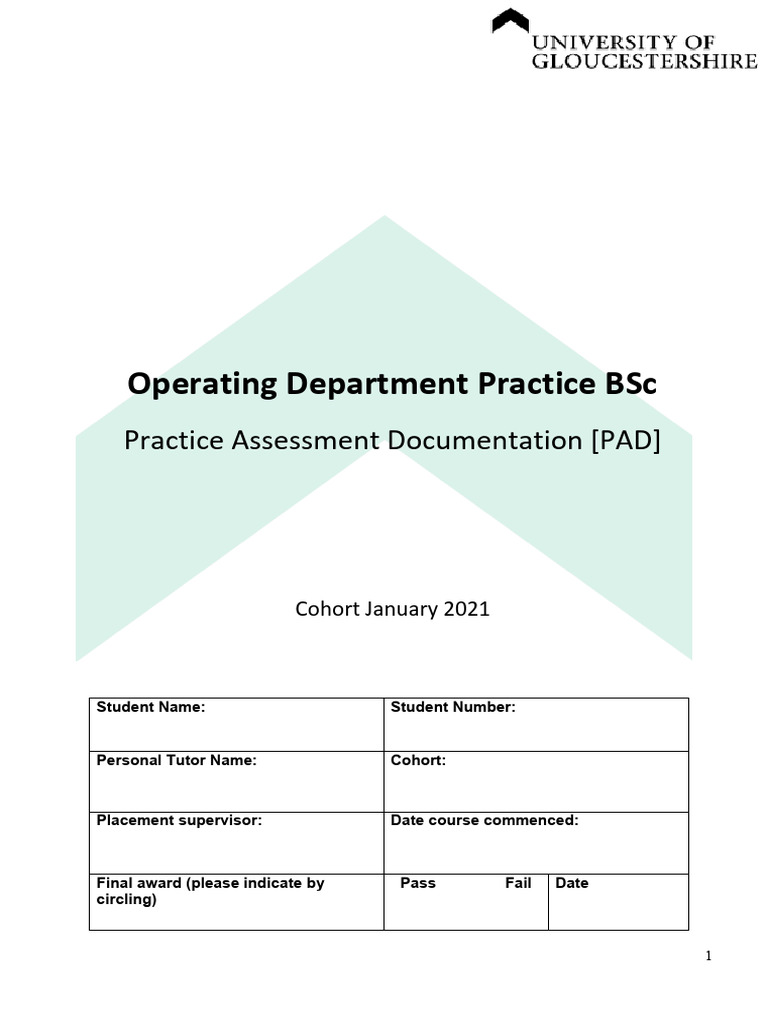 Practice Assessment Document Pdf Intravenous Therapy Anesthesia 4386