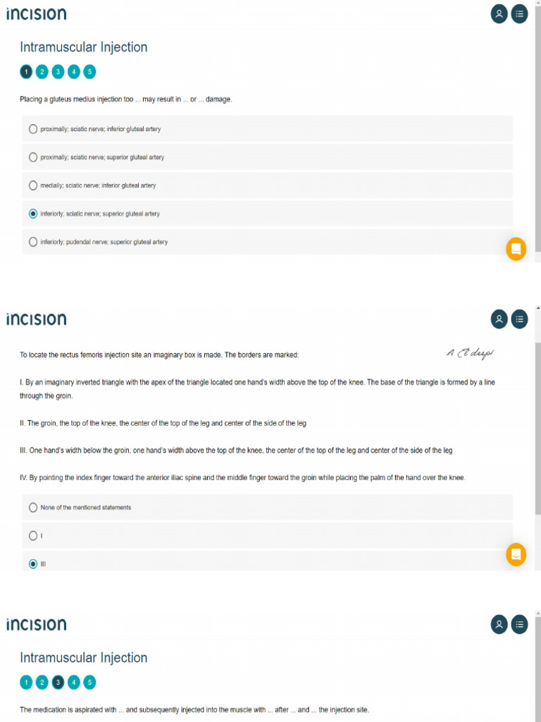 Intramuscular Injection 1#ELDEEP 100% | PDF