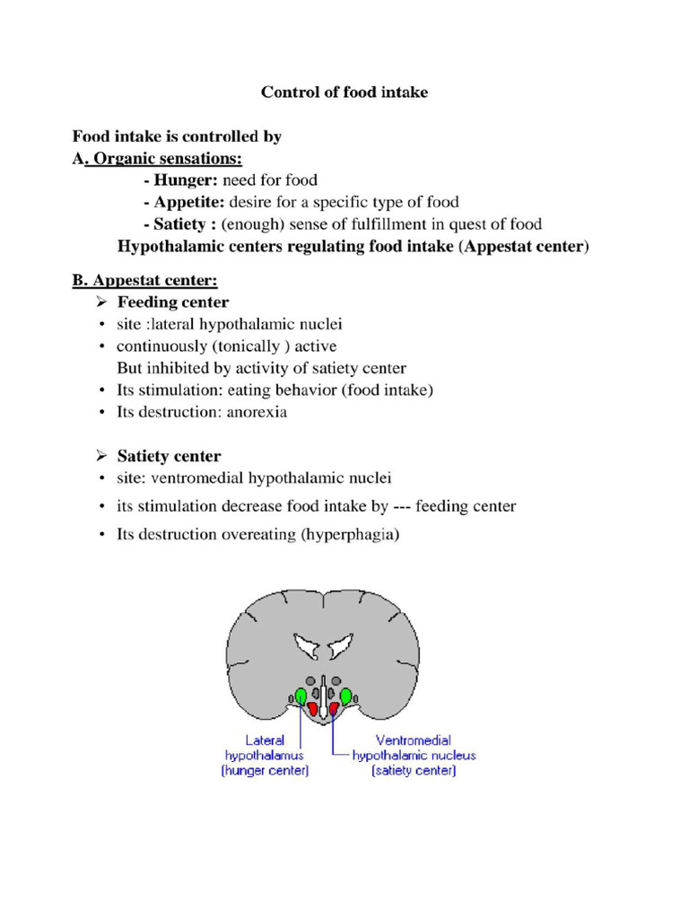 Control of Food Intake | PDF