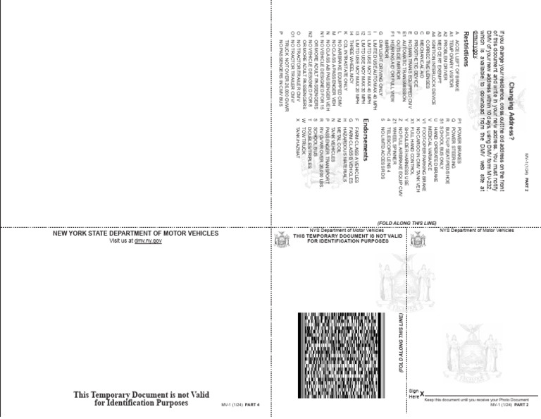 Temporary Photo Document | PDF | Vehicles | Land Transport