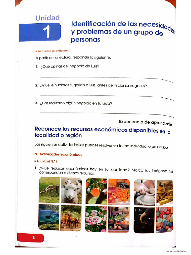 Portafolio Ept 1 Secundaria | PDF
