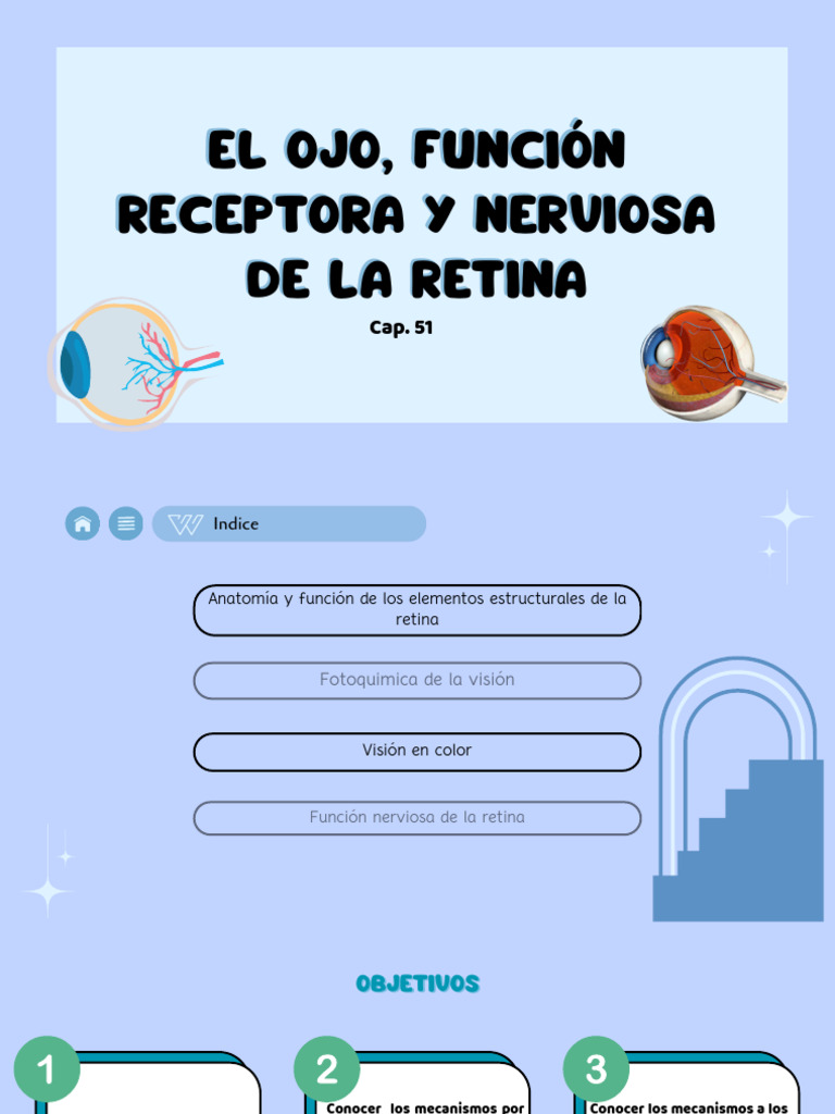 Función Receptora y Nerviosa de La Retina PDF | PDF | Percepción visual | Retina