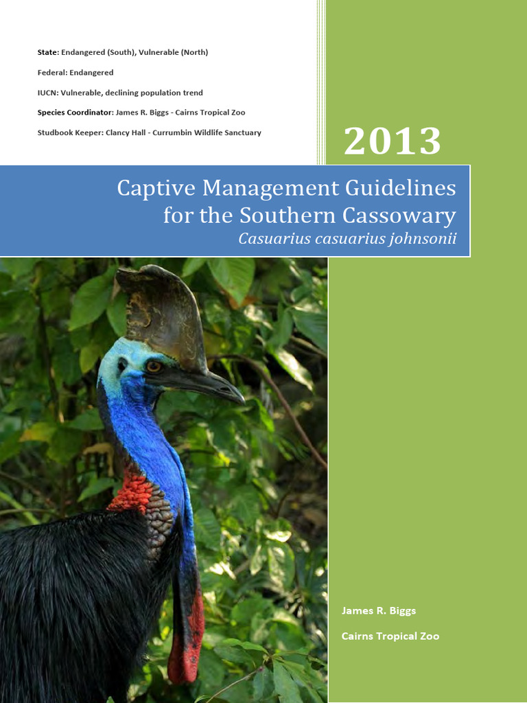 Captive Management Guidelines For The Southern Cassowary Casuarius ...