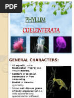Fish Nares: Smell Mechanism Explained | PDF | Olfaction | Fish