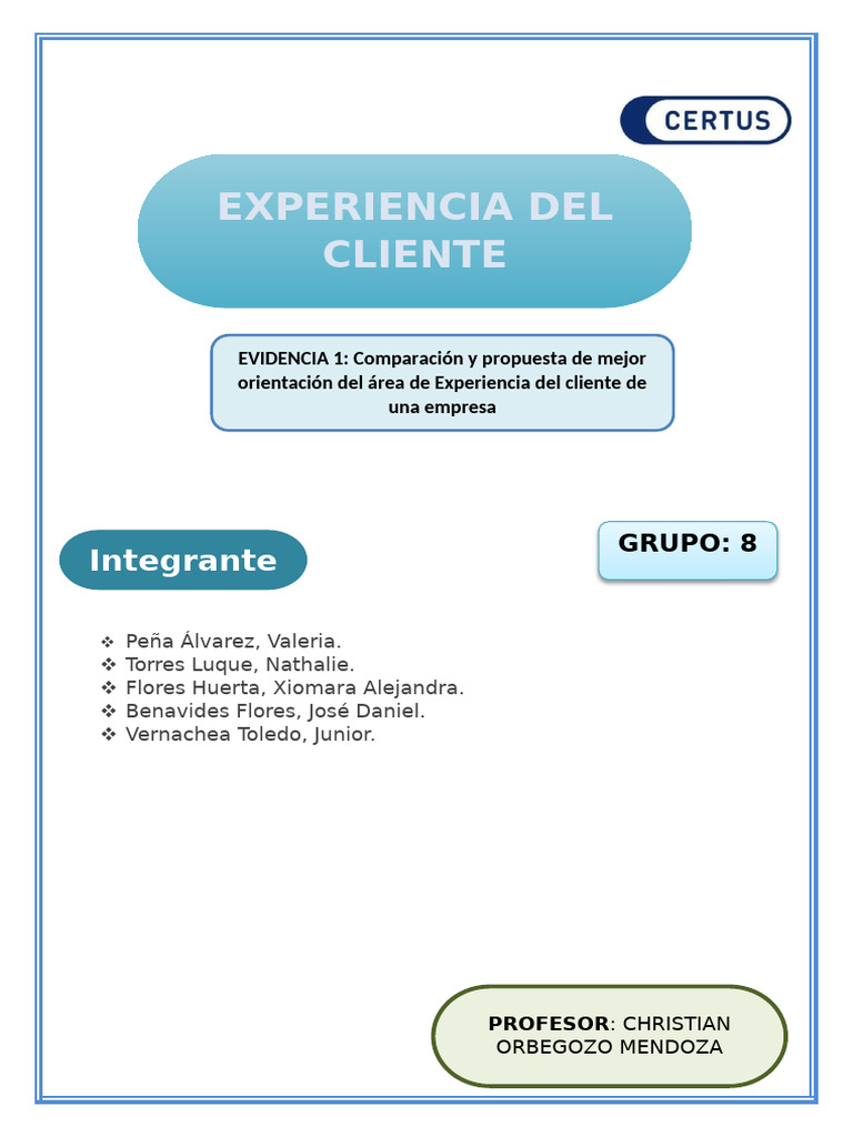 Formato_informe Evidencia1 Experiencia Del Cliente | PDF | Valores | Seguro