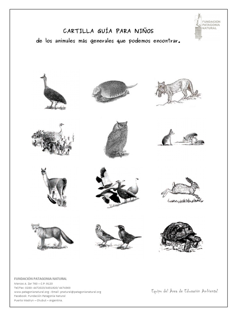 Guía para Niños-Identificación de Animales | PDF