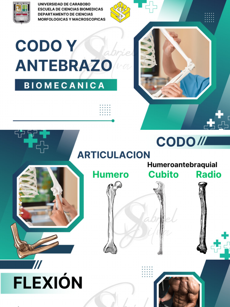 Codo Y Antebrazo Pdf