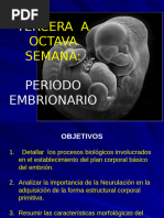 Neurulación en Embriología: Proceso y Etapas | PDF | Anatomía ...