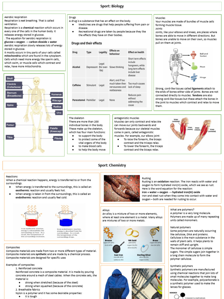 Sports Knowledge Organisers | PDF | Skeletal Muscle | Cellular Respiration