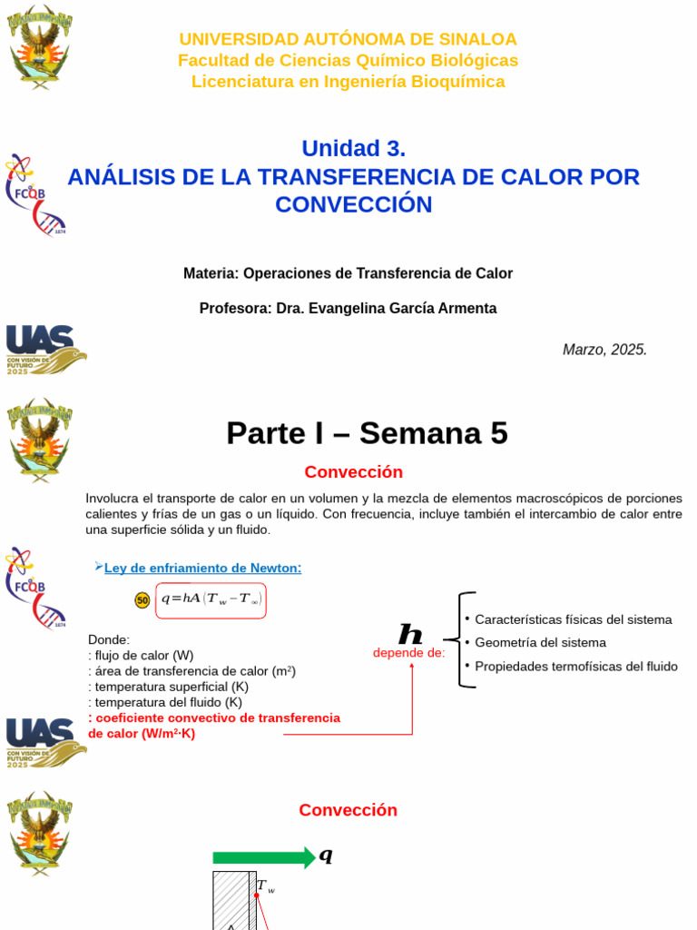 Semana 5 | PDF | Convección | Transferencia de calor