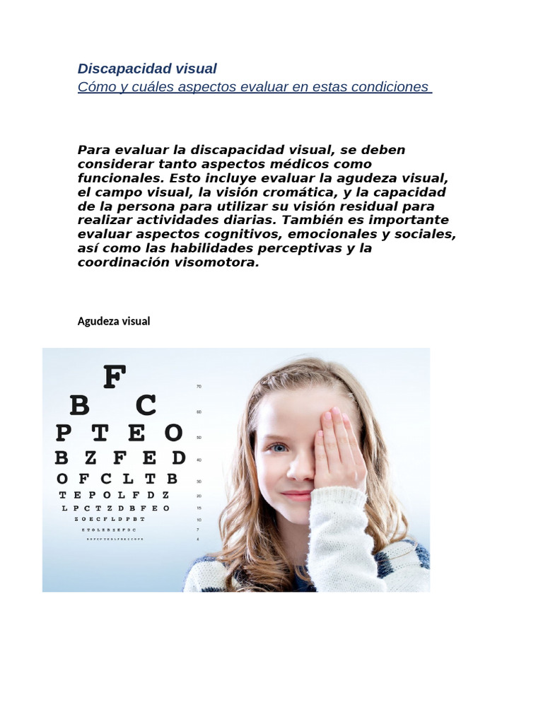 Discapacidad Visual | PDF