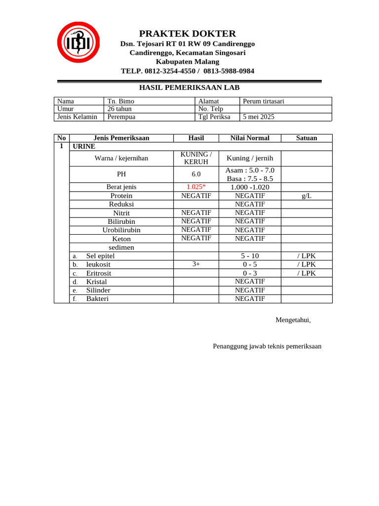 Hasil Pemeriksaan Urine | PDF