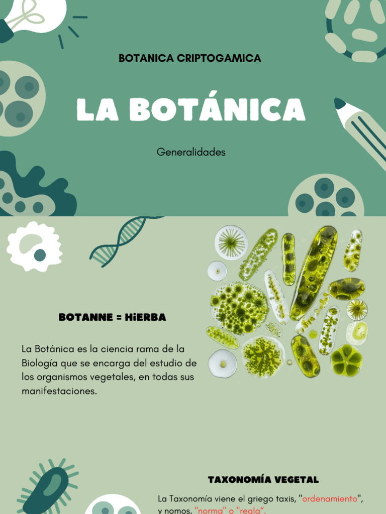 La Botanica Generalidades | PDF | Taxonomía (biología) | Taxón
