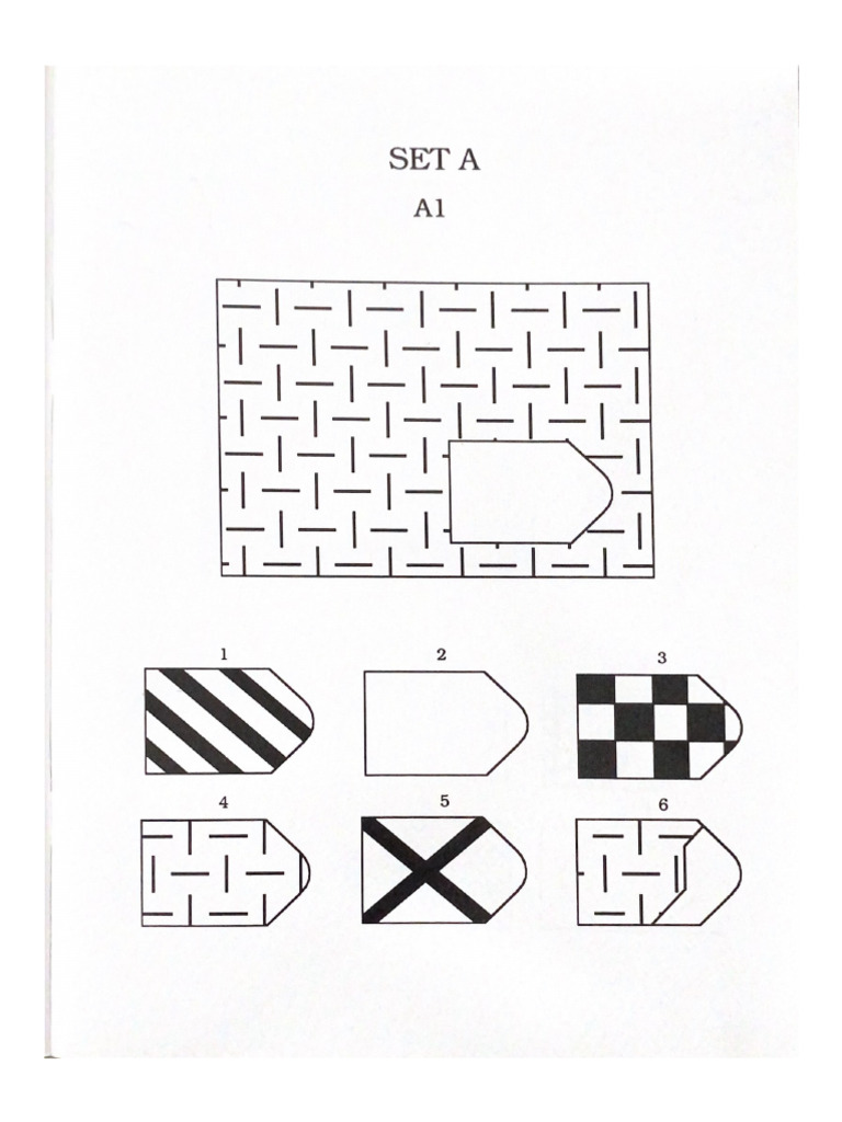 Raven(Test, Answer Sheet, Answer Key) | PDF