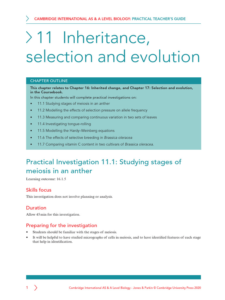 PTG Chapter 11 Asal Biology | PDF | Genotype | Zygosity