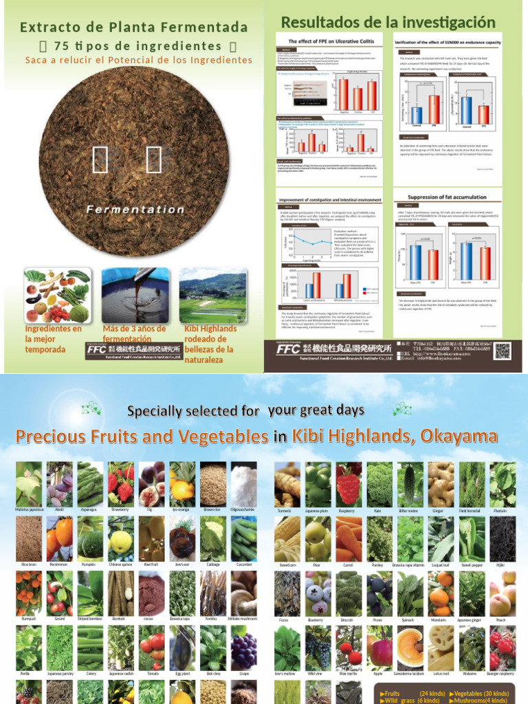 FFC Brochure English | PDF | Tablet (Pharmacy) | Drink