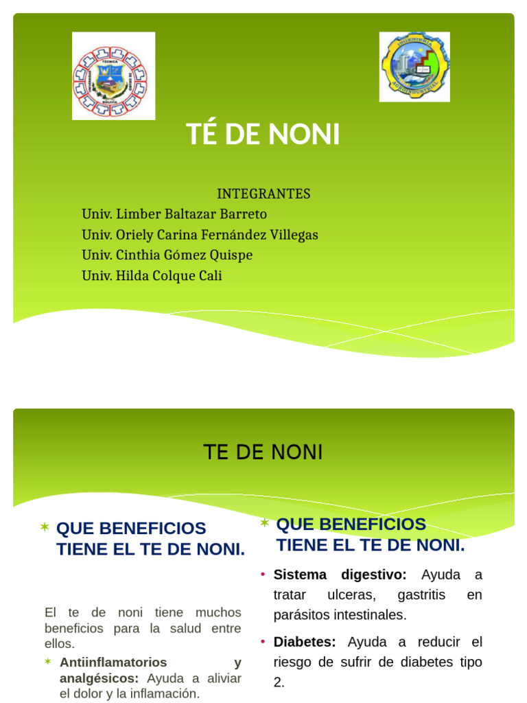 Té de Noni ( Proyecto) | PDF